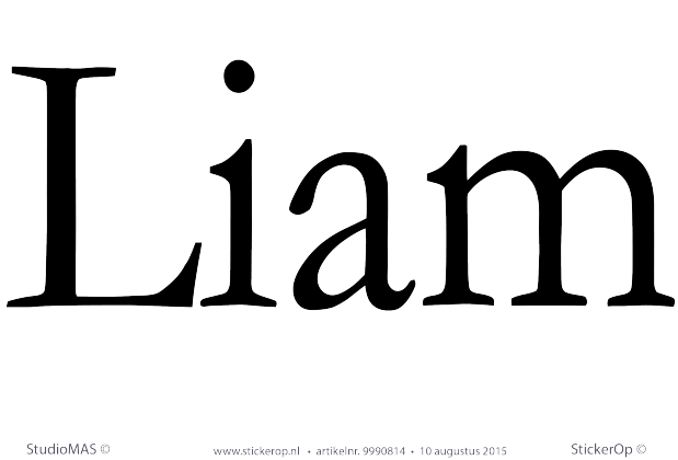 Liam Logo Name Liam Name Tattoo Designs